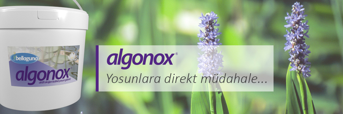 bellaguna - su sağlığı hakkında herşey